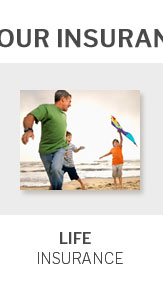 Car Insurance Companies In Oregon 🟨 Dec 2025